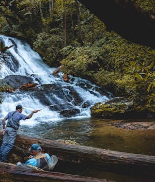 Western NC Fishing Stream Report | Davidson River Outfitters