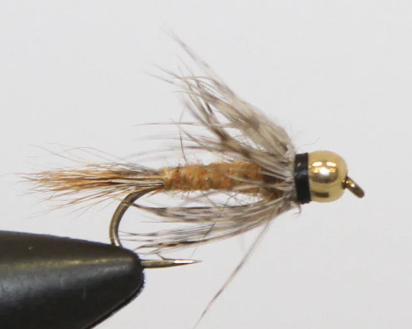 Rivers and Streams of WNC | Davidson River Outfitters