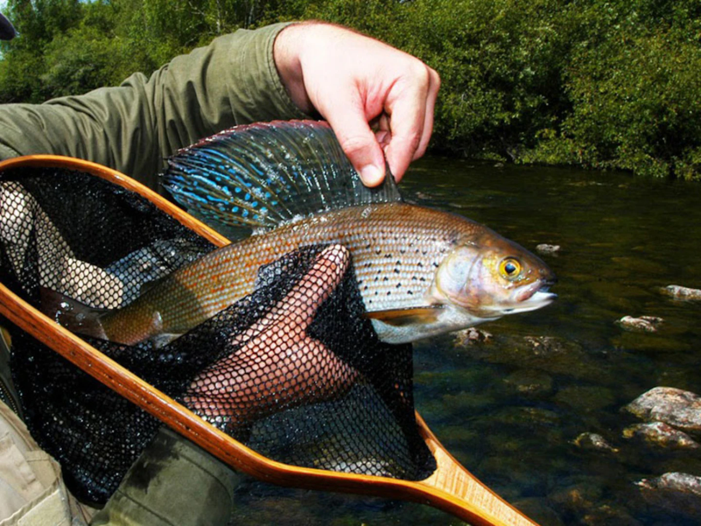 Davidson River Outfitters | Visit us in Brevard NC
