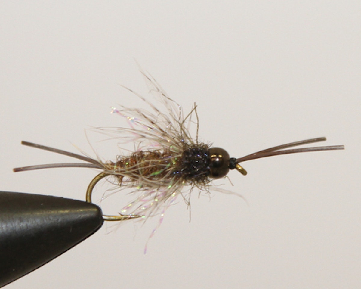 Western NC Fishing Stream Report | Davidson River Outfitters