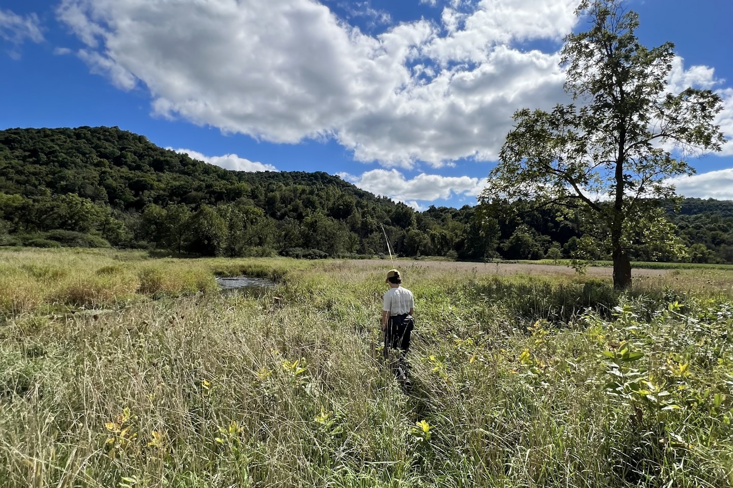 Guided Driftless Fly Fishing Trips | Davidson River Outfitters