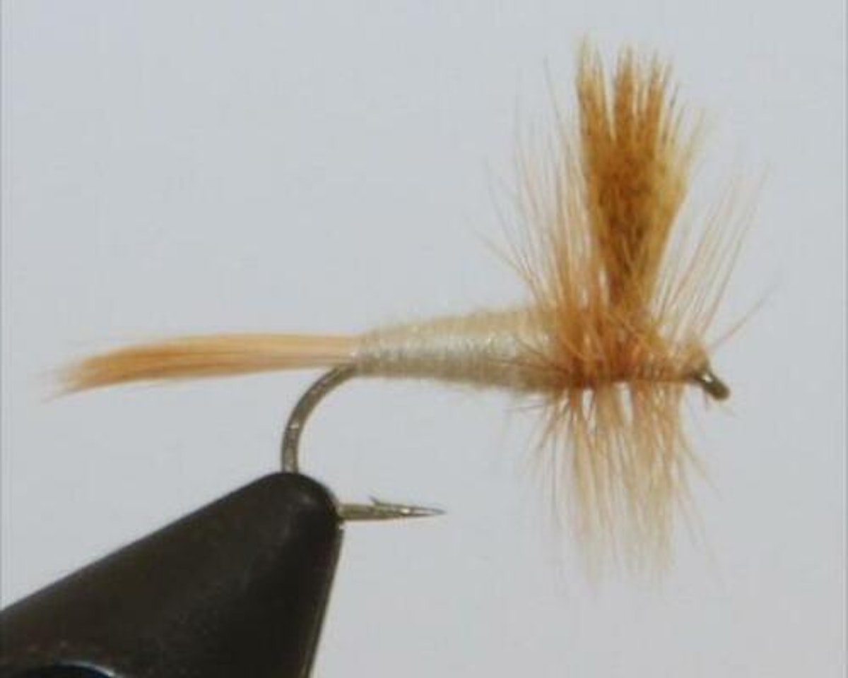 Hatch Chart | WNC Fly Fishing | Davidson River Outfitters