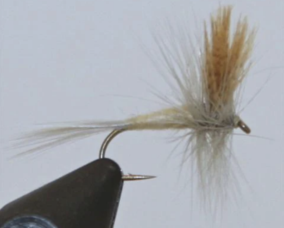 Hatch Chart | WNC Fly Fishing | Davidson River Outfitters