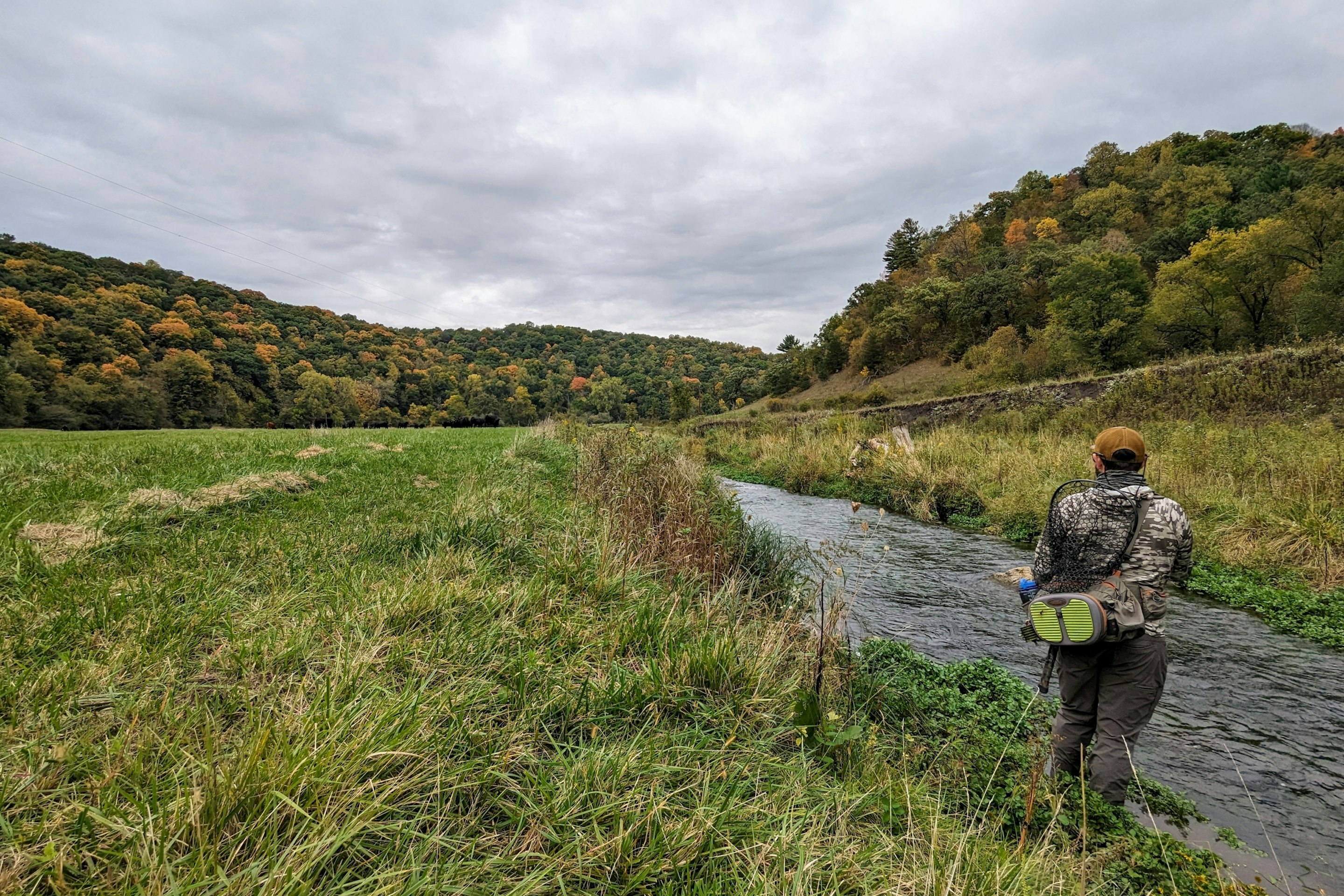 Guided Driftless Fly Fishing Trips | Davidson River Outfitters