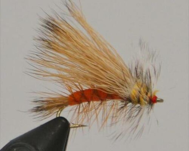 Hatch Chart | WNC Fly Fishing | Davidson River Outfitters