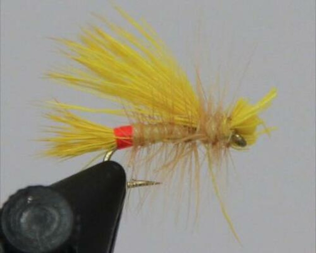 Hatch Chart | WNC Fly Fishing | Davidson River Outfitters