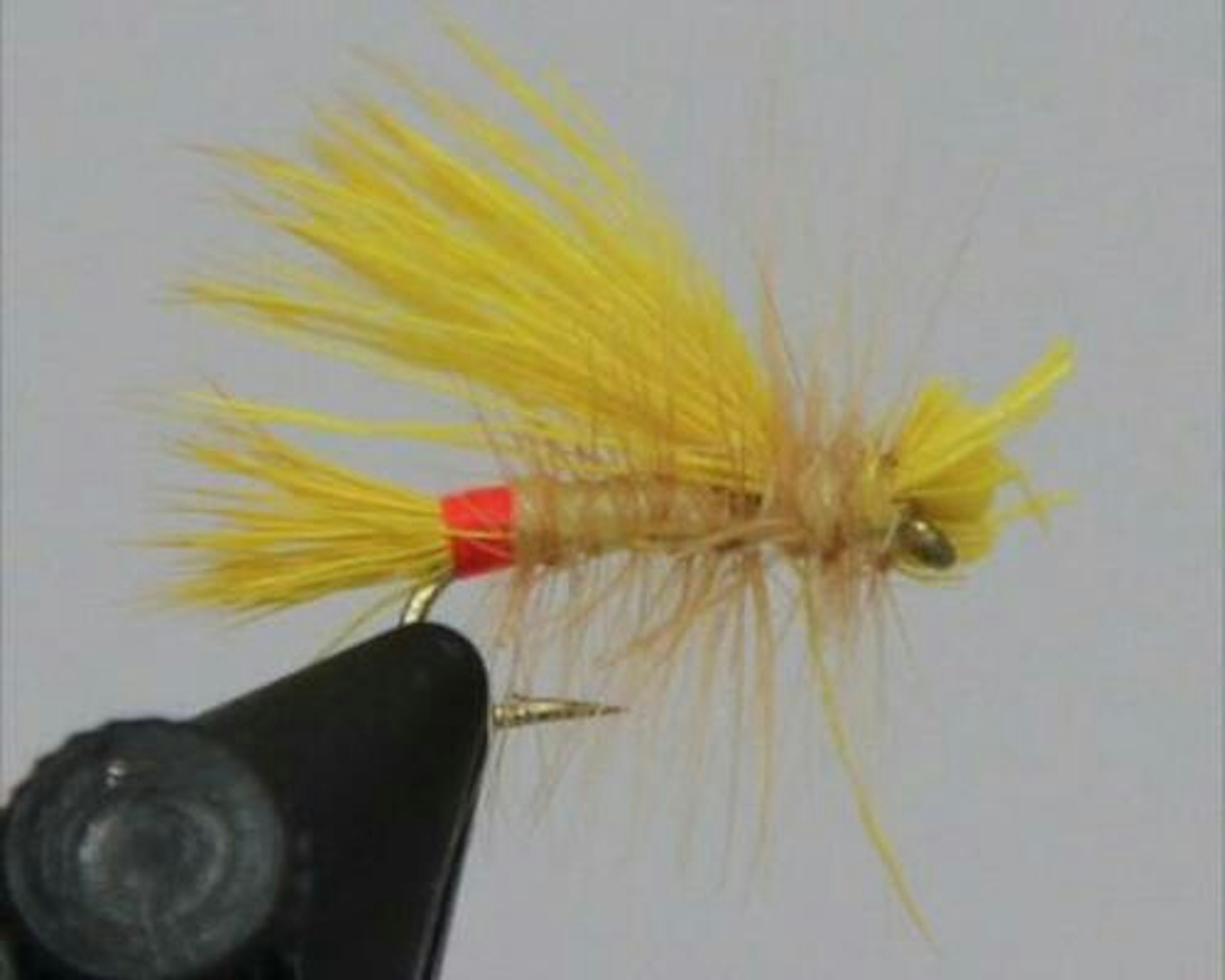 Hatch Chart | WNC Fly Fishing | Davidson River Outfitters